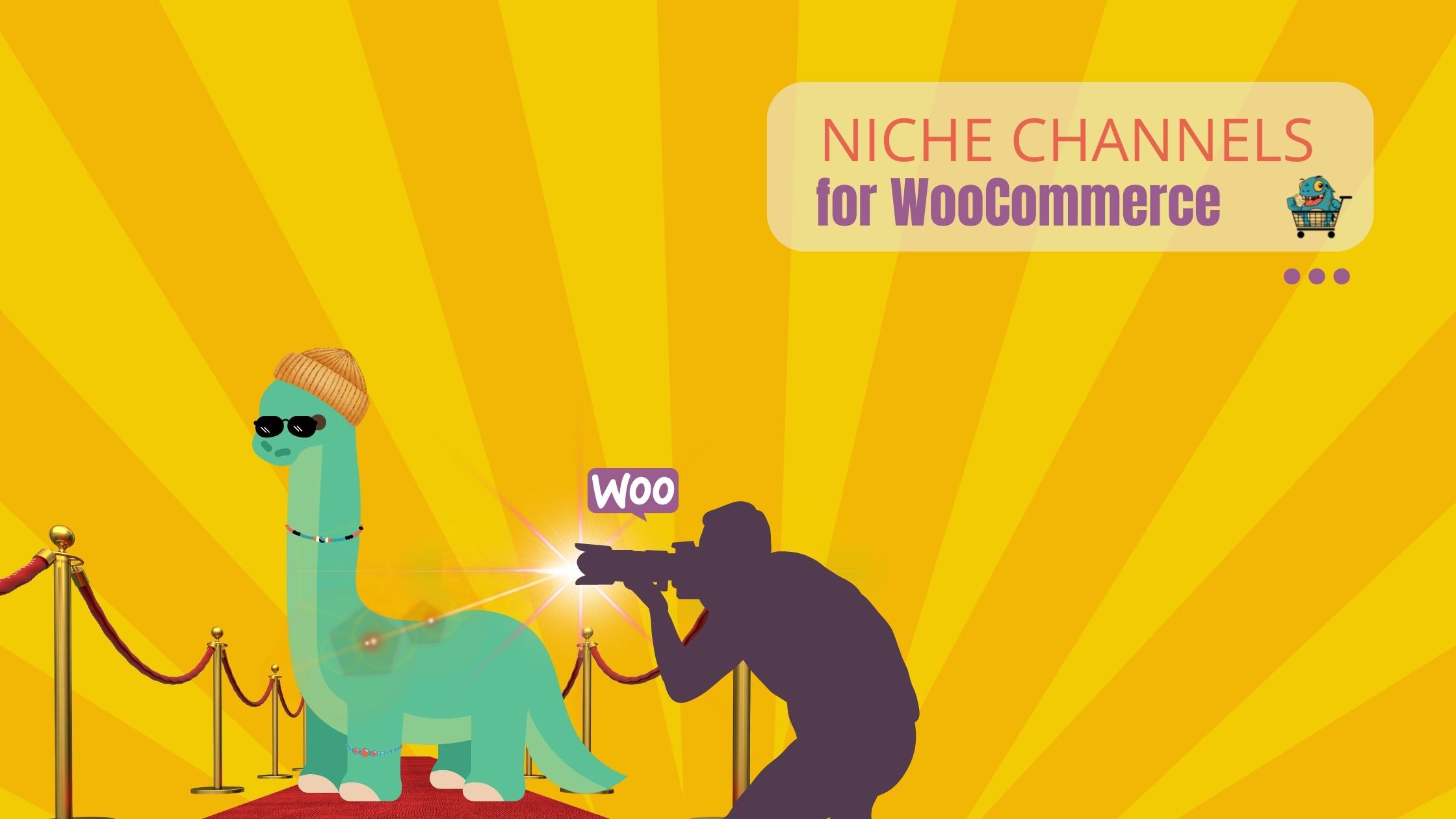 Niche Channels for WooCommerce - ShoppingFeeder Insights